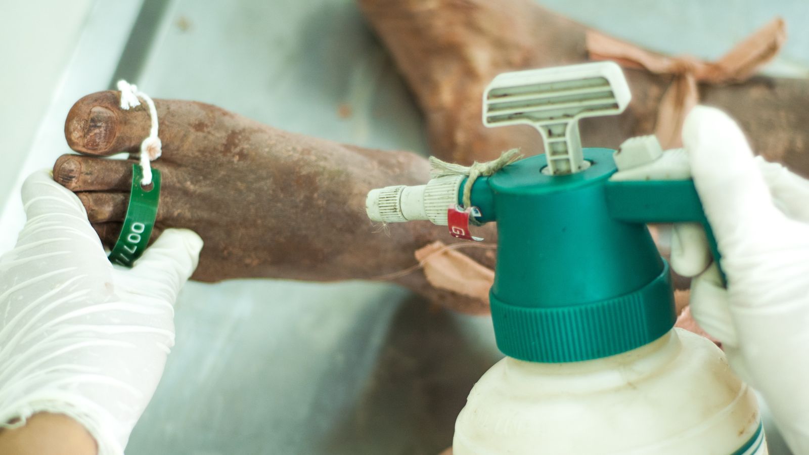 18 High-Paying Jobs No Salary Can Make Attractive - SOCIETEMAG.com