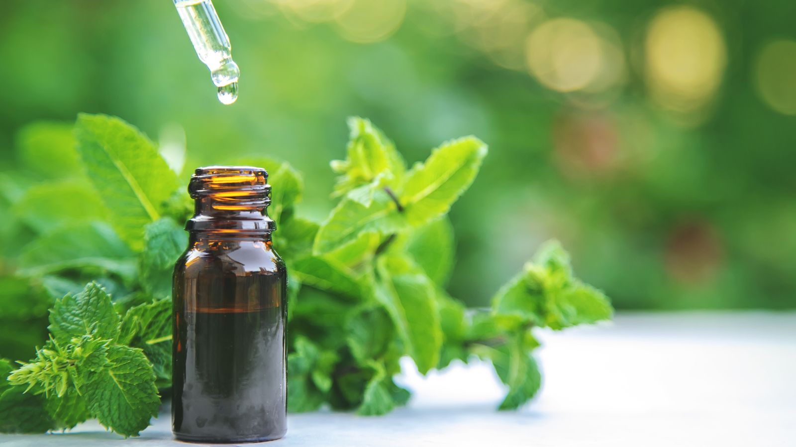 17 Old-Fashioned Remedies from Grandma That Still Work Today ...