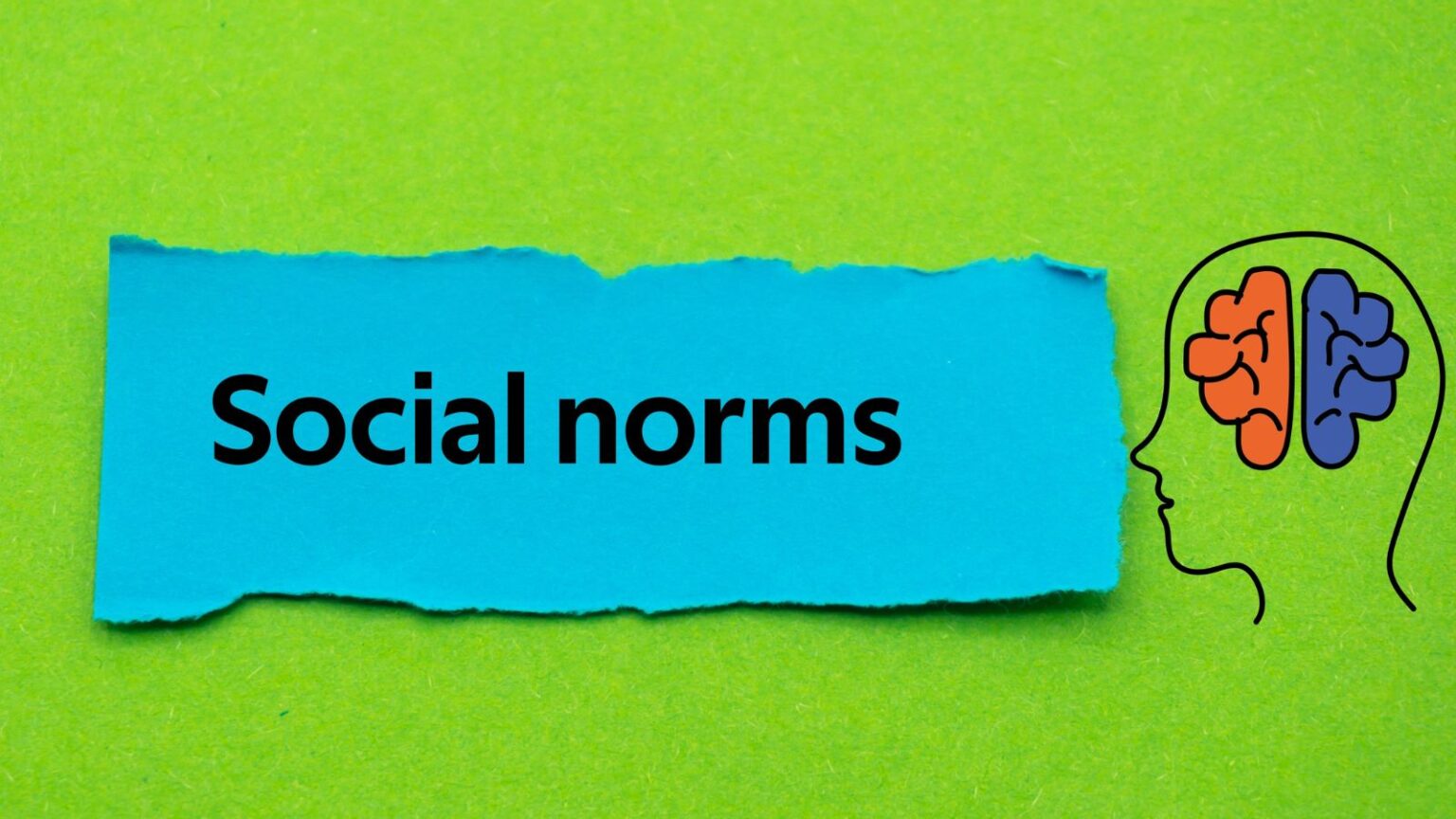 15 Examples of Black Privilege in America - SOCIETEMAG.com