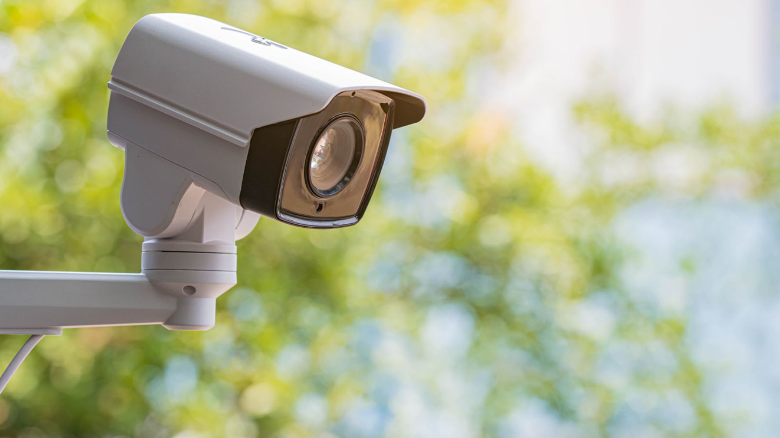 Top 18 Items That Thieves Are Always After in America - SOCIETEMAG.com