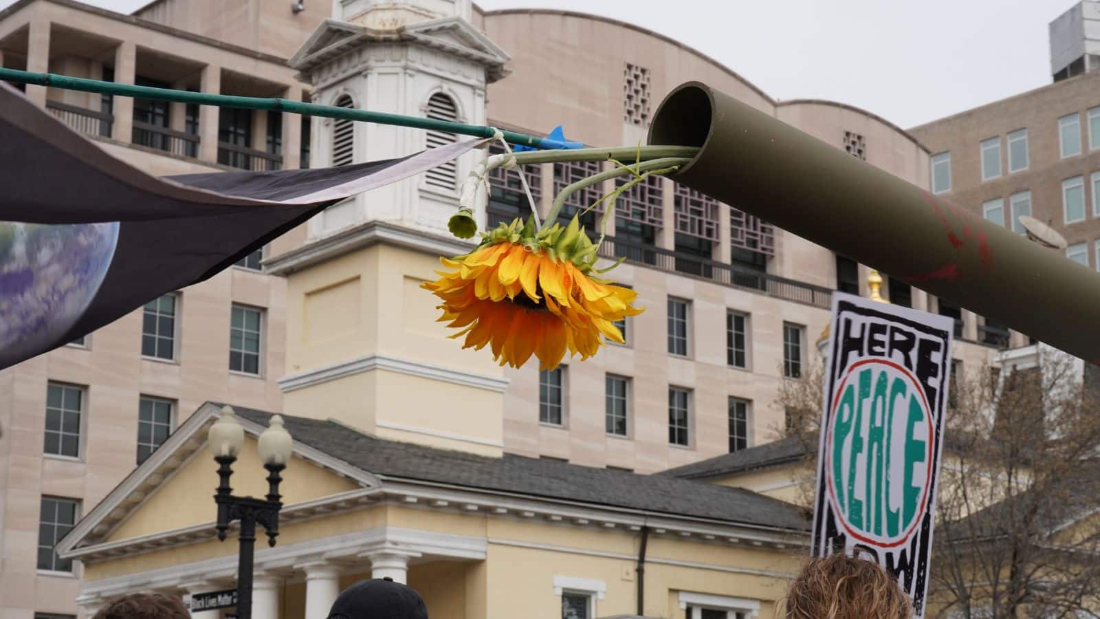 20 1960s Slang Expressions That Gen Z Has Abandoned - SOCIETEMAG.com