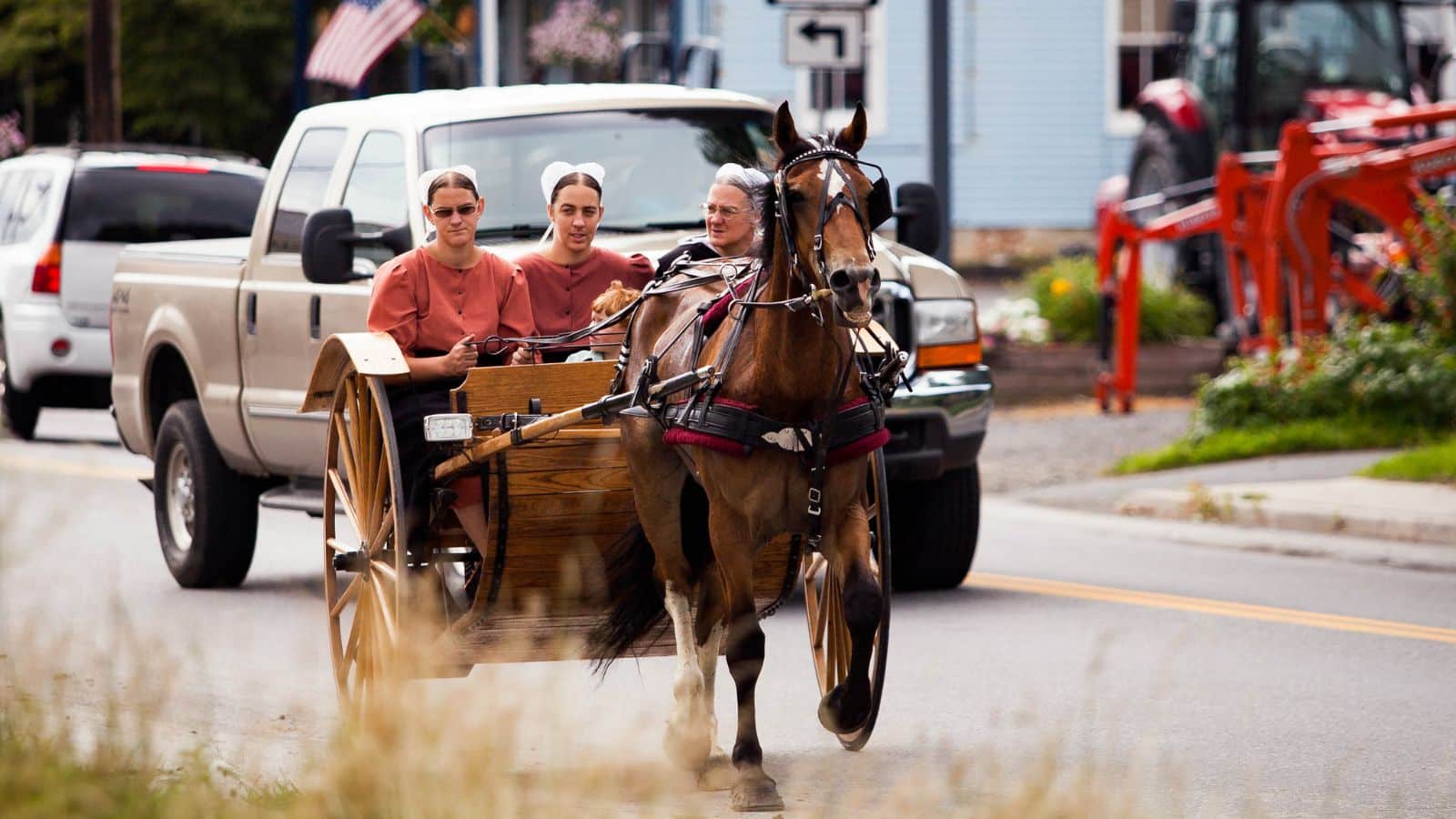 19 Activities Amish Women Are Prohibited From Doing - SOCIETEMAG.com