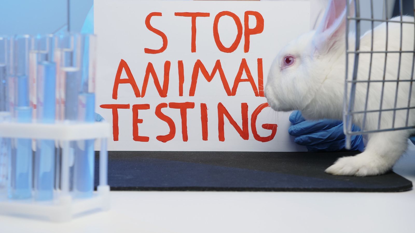 20 Outdated 1970s Traditions That Would Be Unthinkable Today ...