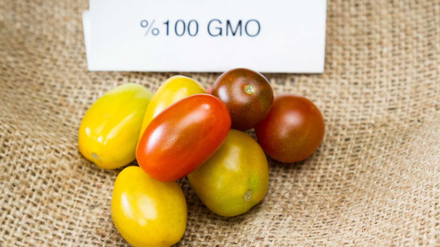 18 Things Americans Are Desperately Trying to Ban - SOCIETEMAG.com