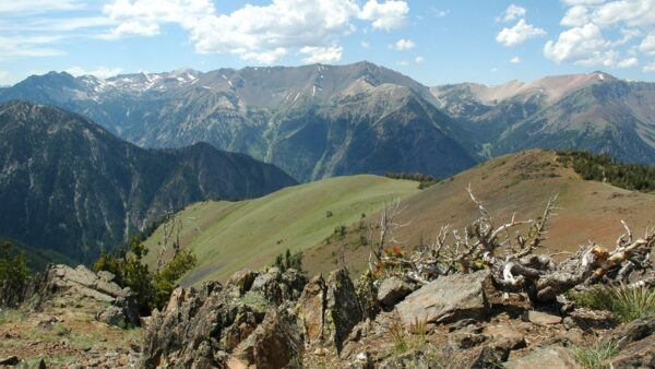 The States with the Largest Wolverine Populations in the USA ...