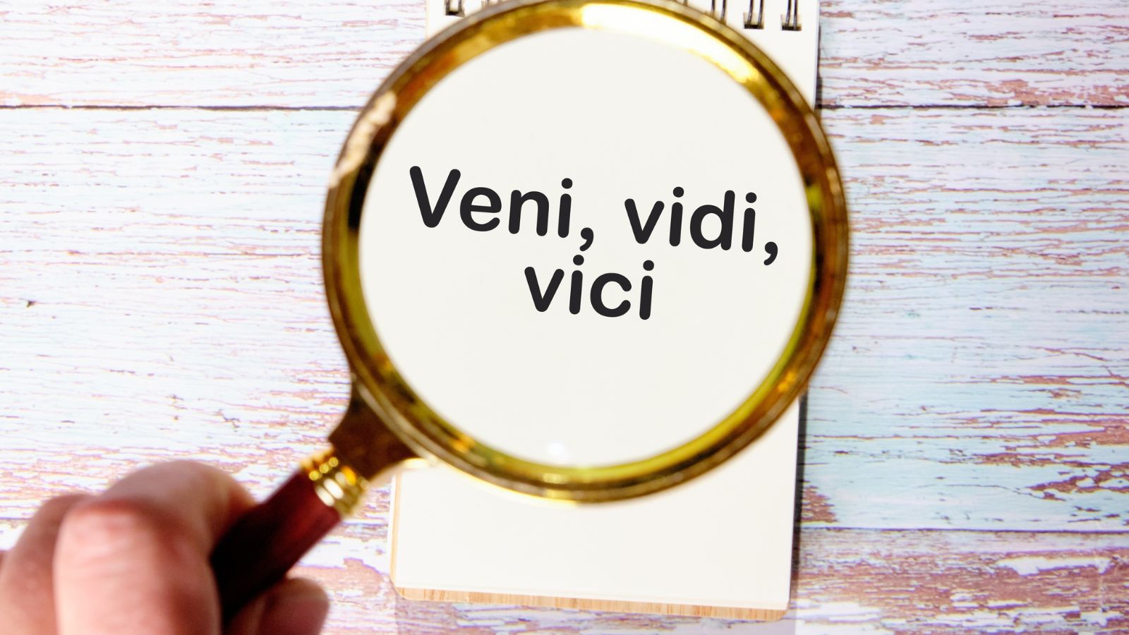 18 Phrases to Elevate Your Speech to Classy and Sophisticated Levels ...