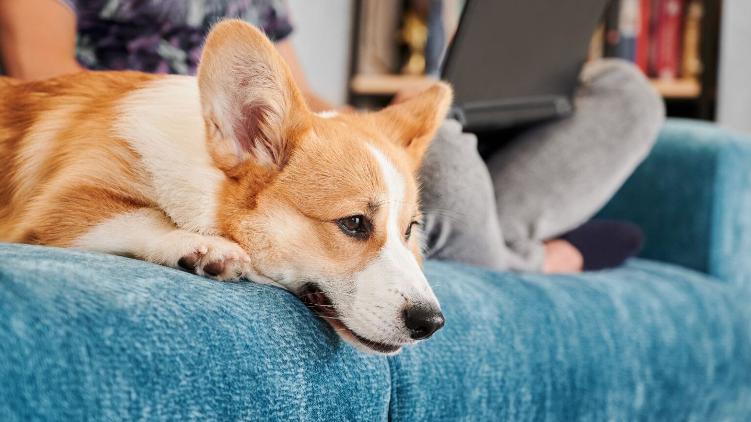 20 Embarrassing Things We All Do (But Won't Admit) - SOCIETEMAG.com